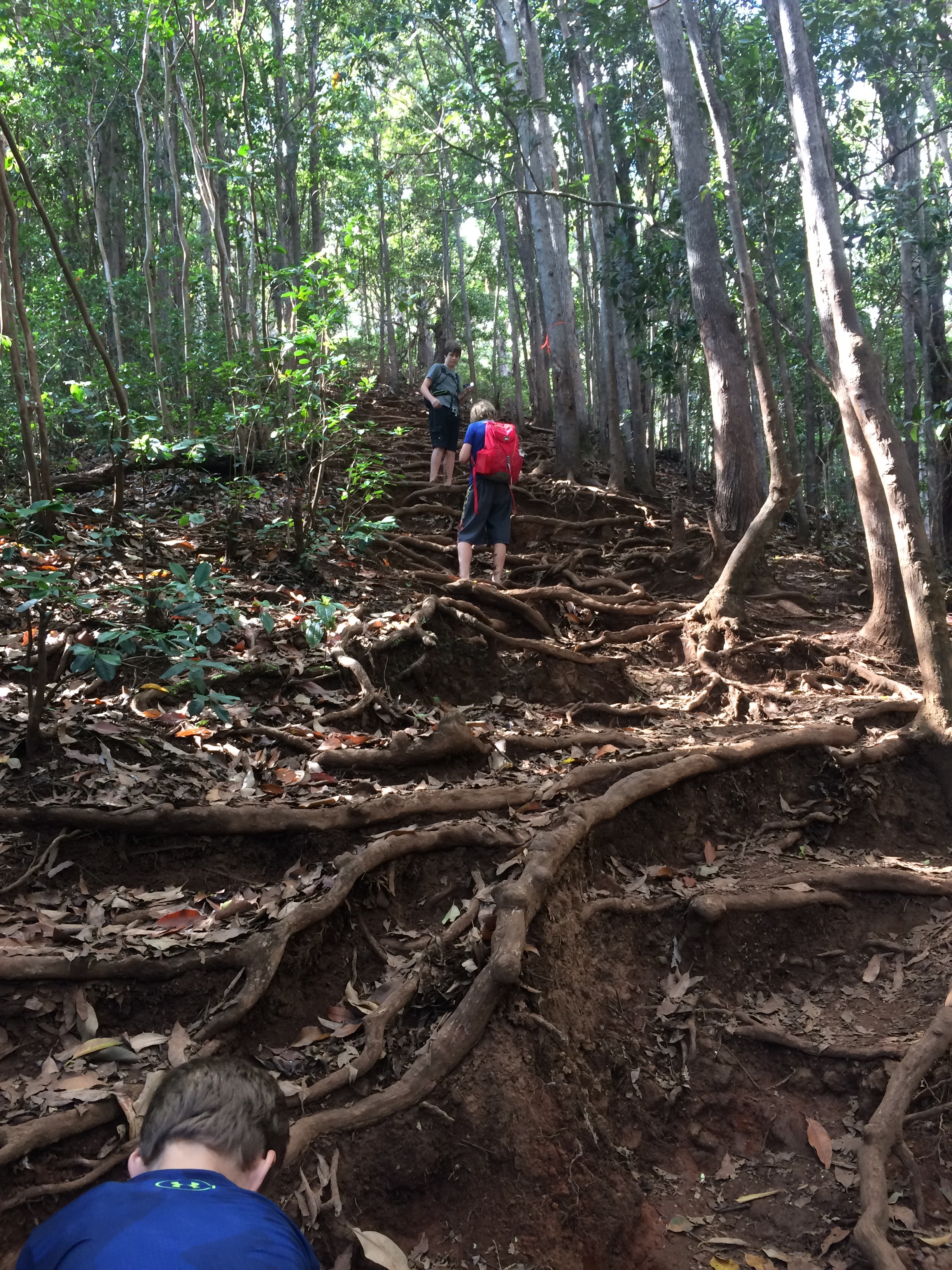 Waimano Falls Hike