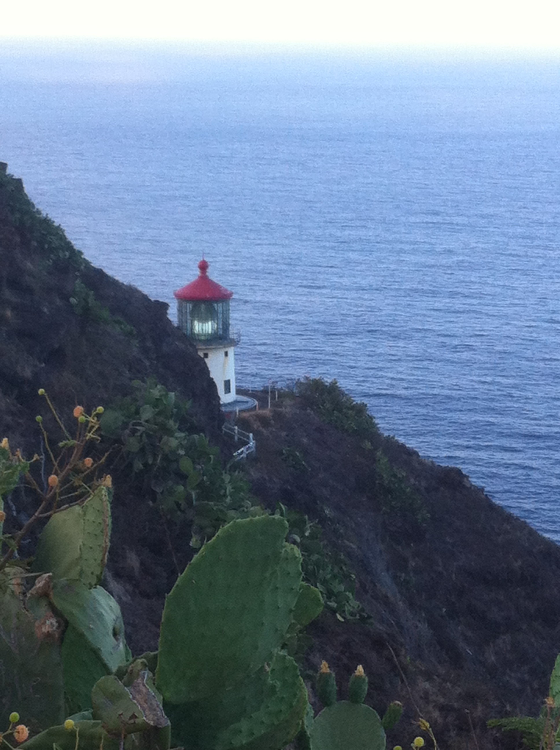Makapu’u lighthouse hike in Oahu | Road Tripping For Kids Travel Blog